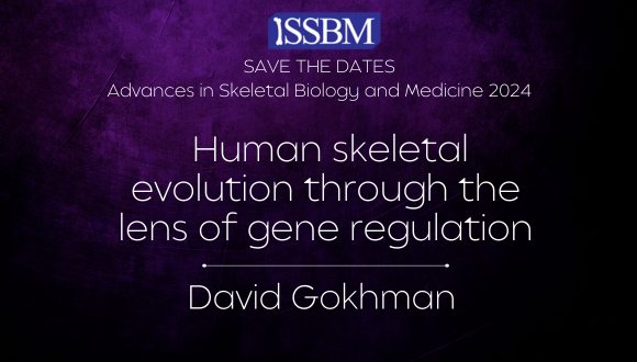Human skeletal evolution through the lens of gene regulation | הפקולטה ...